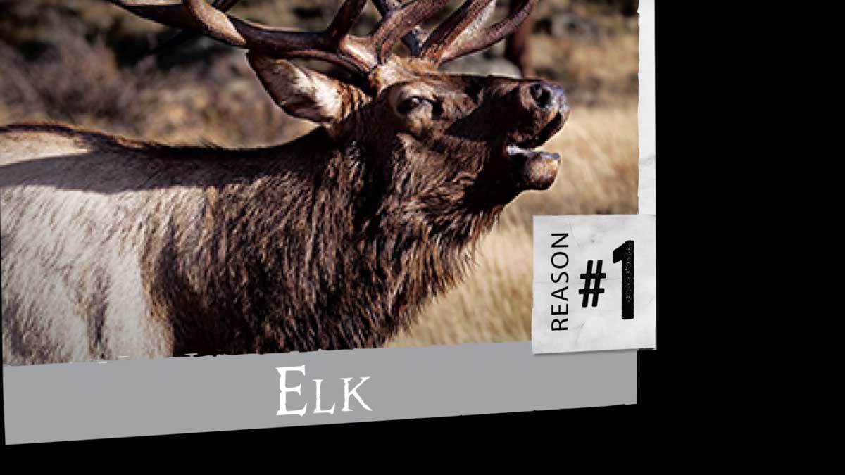 Reason #1 Hunting Is Conservation | RMEF Media | Rocky Mountain Elk ...