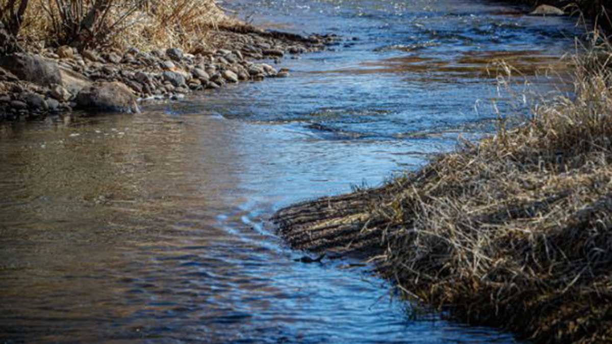 RMEF Helps Ensure the Future of “Other Wildlife” Too | RMEF Media ...