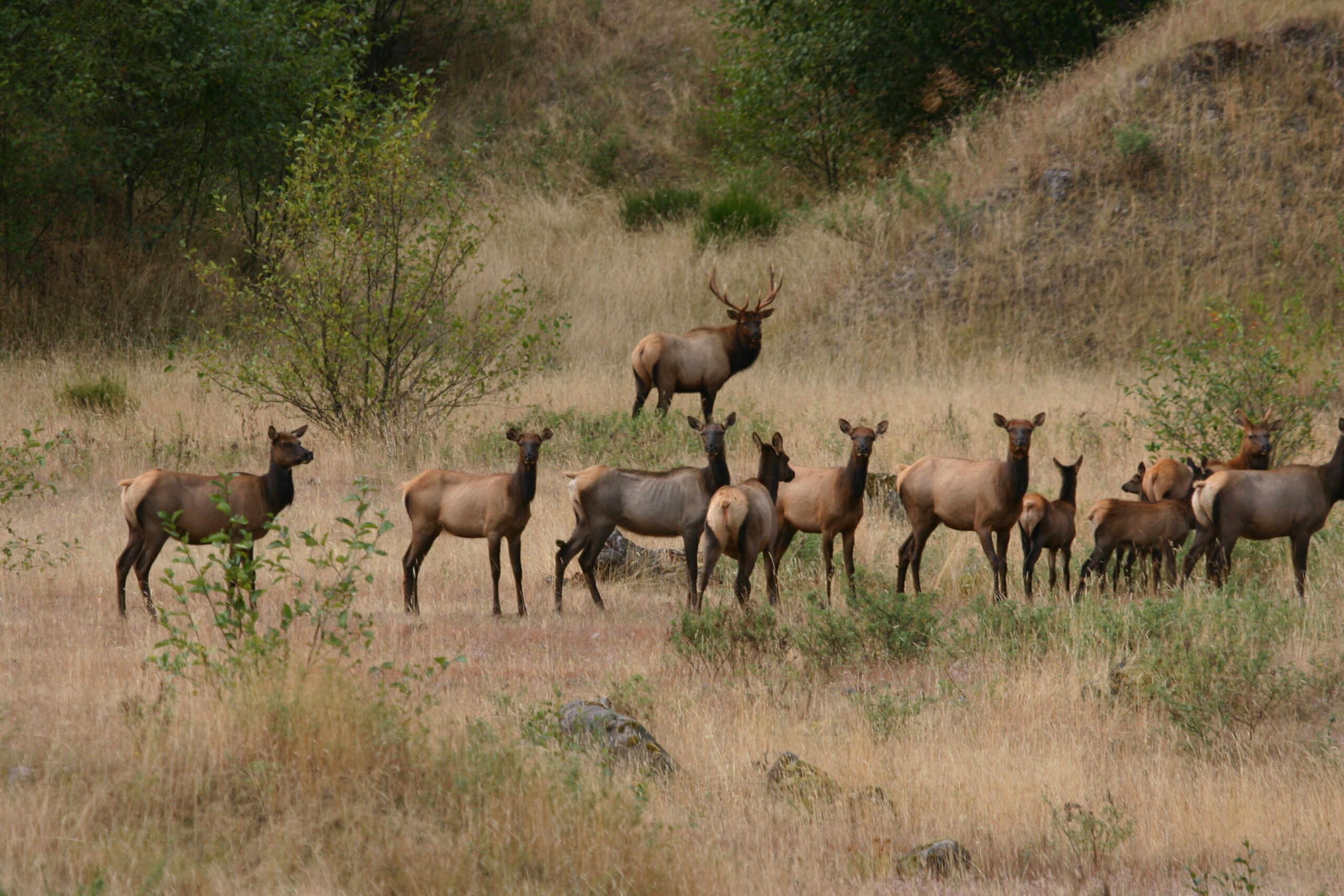 March 2025 Advocacy Update | RMEF Media | Rocky Mountain Elk Foundation